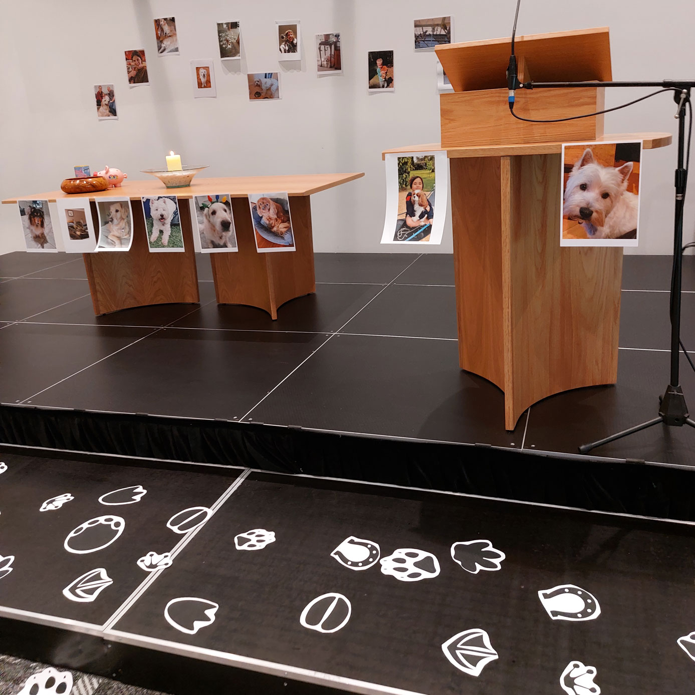 Pet Blessing Service - Manningham Uniting Church